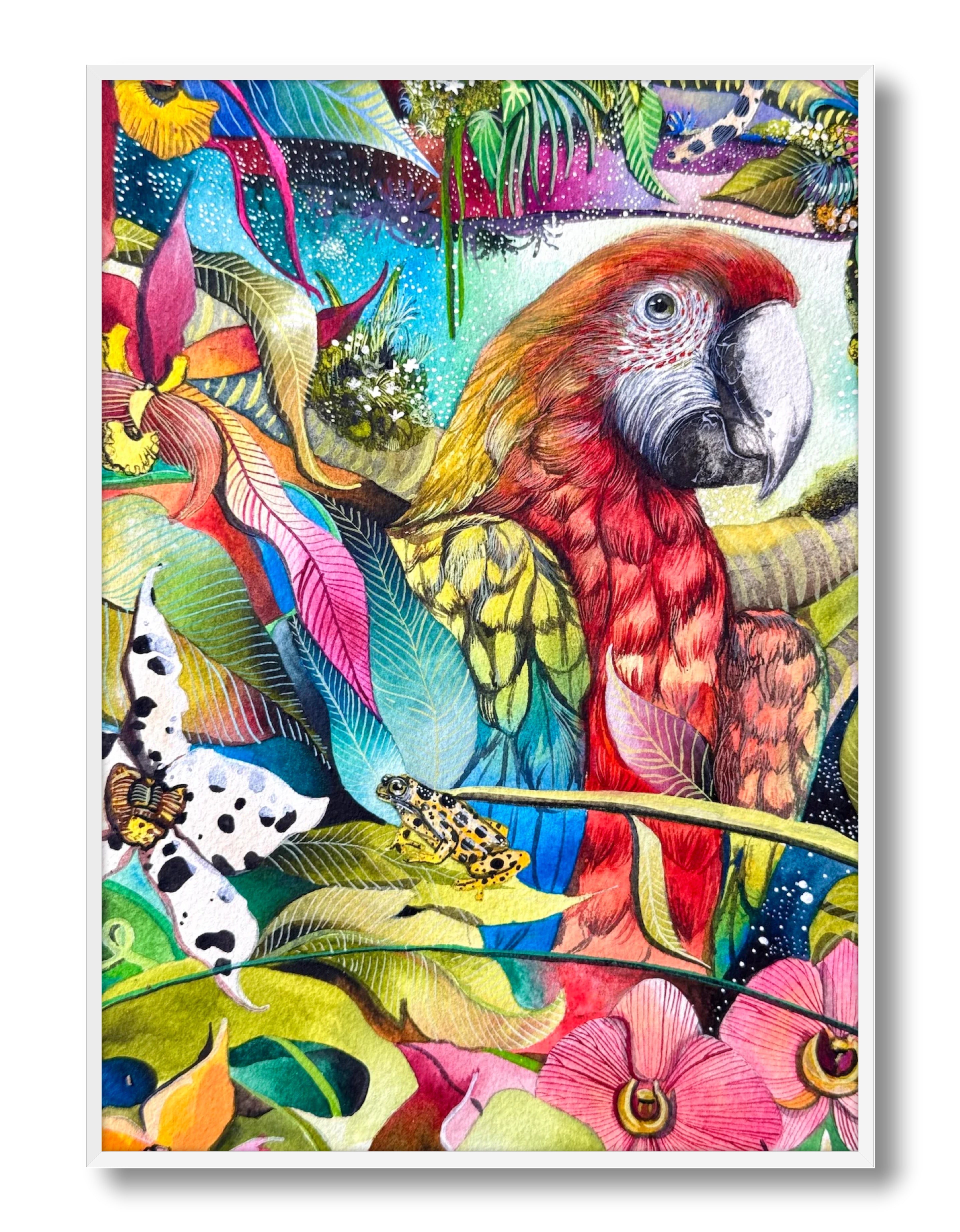 Kate Morgan Studio - Hidden Beauties - Limited Edition Print